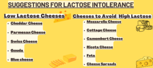 Best Cheeses for Lactose Intolerance 2025